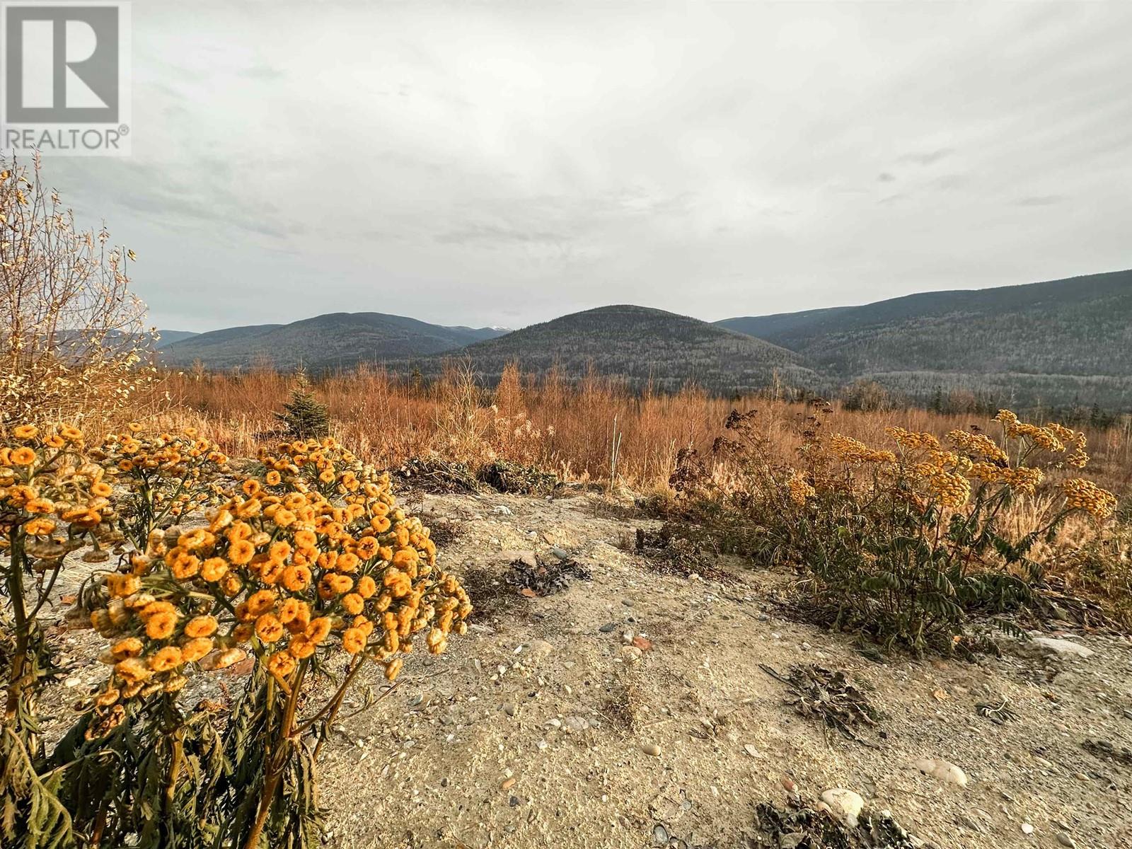 51 Mackenzie Real Estate Listings & Houses for Sale - REW