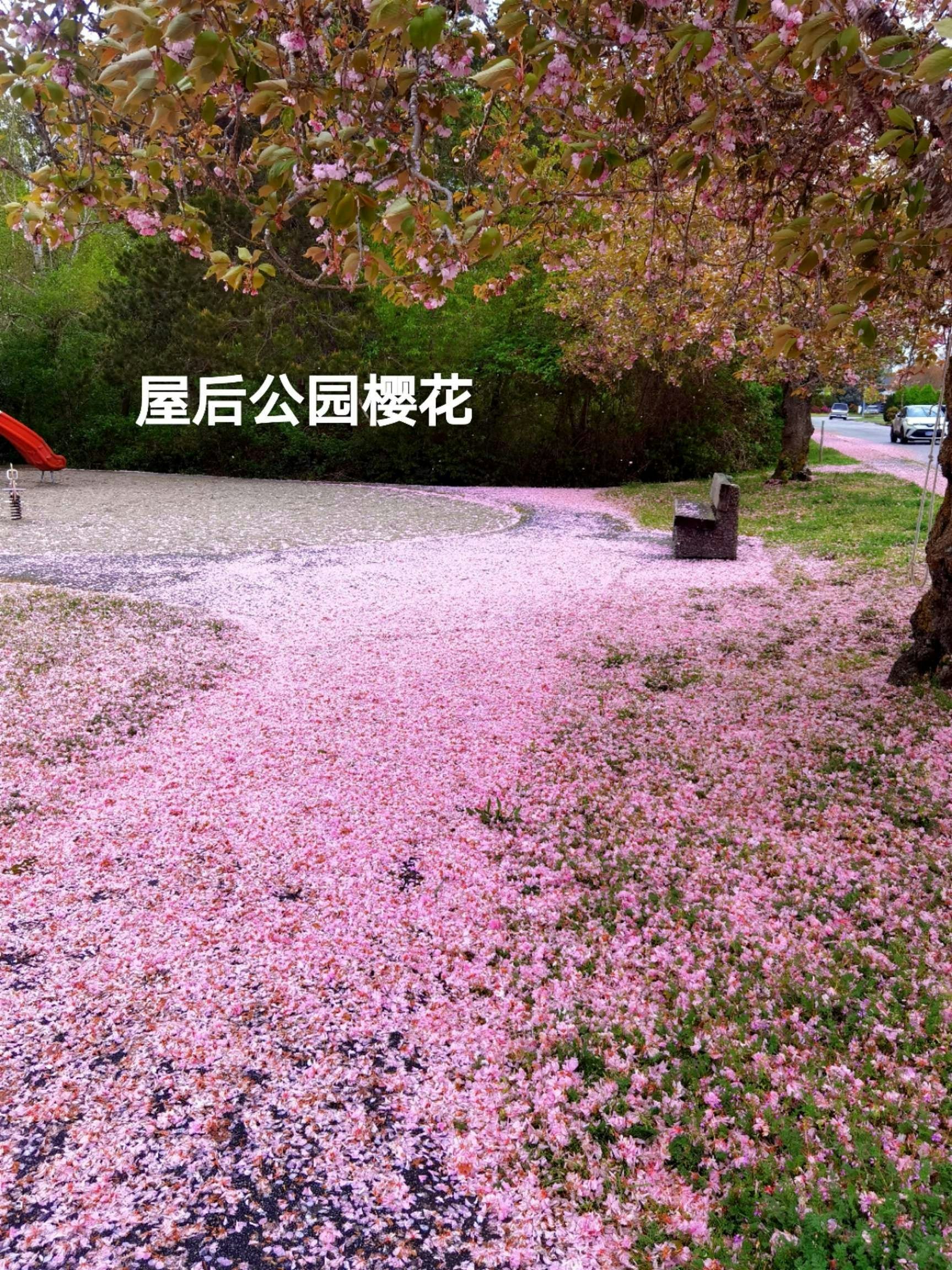 For Sale: 10411 Athabasca Drive, Richmond, BC - REW