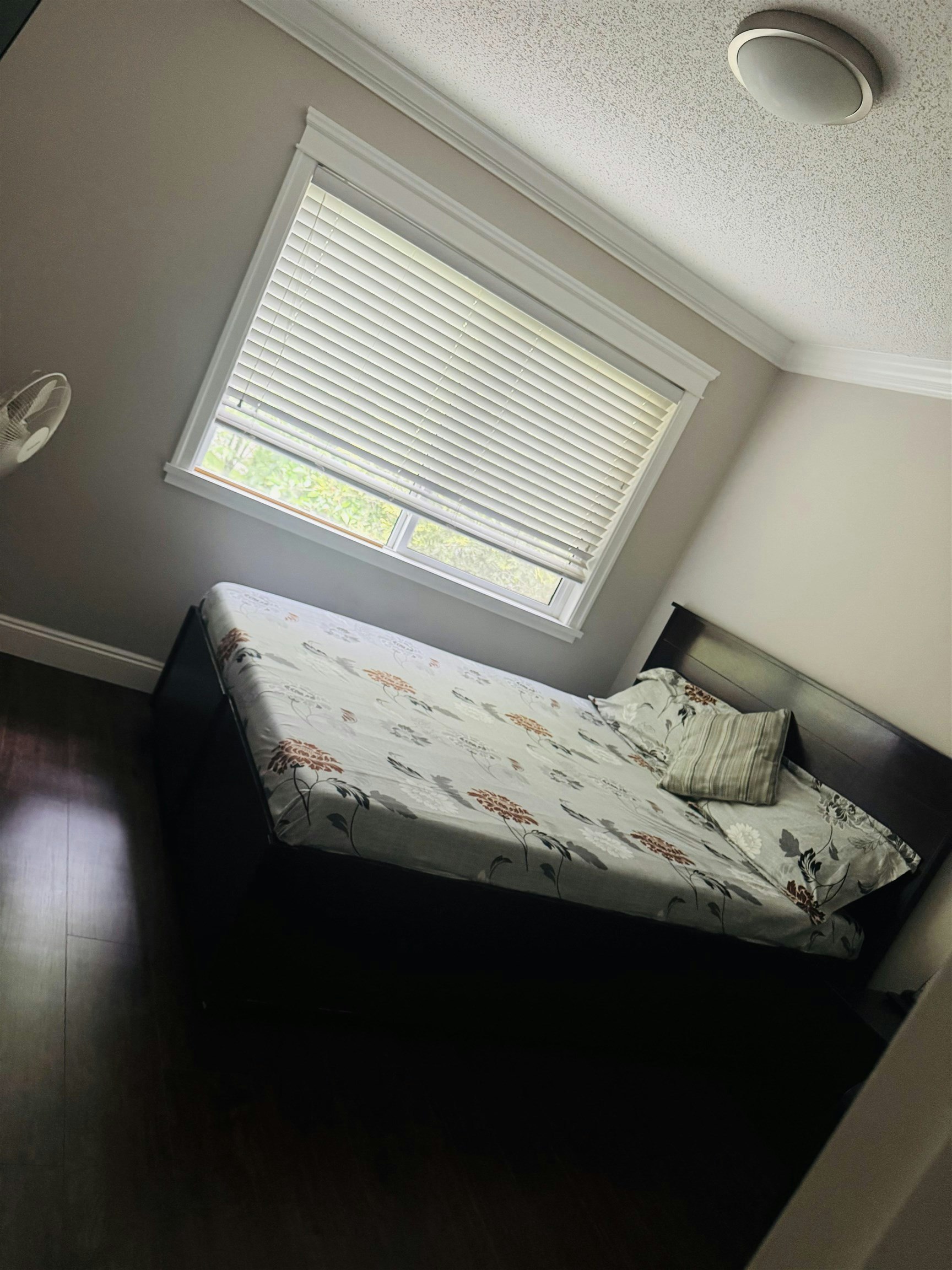 For Sale: 13317 70b Avenue, Surrey, BC - REW