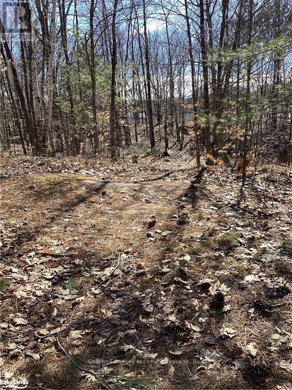 For Sale: 38 Hawkins Point Road, Georgian Bay, ON - REW