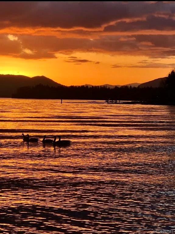 For Sale: 8394 Sa Seen Os Road, Youbou, BC - REW