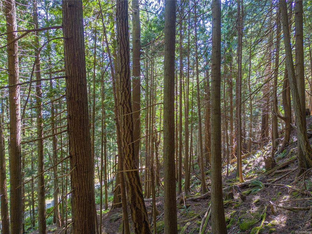 For Sale: Lot A Boundary Pass Drive, Pender Island, BC - REW
